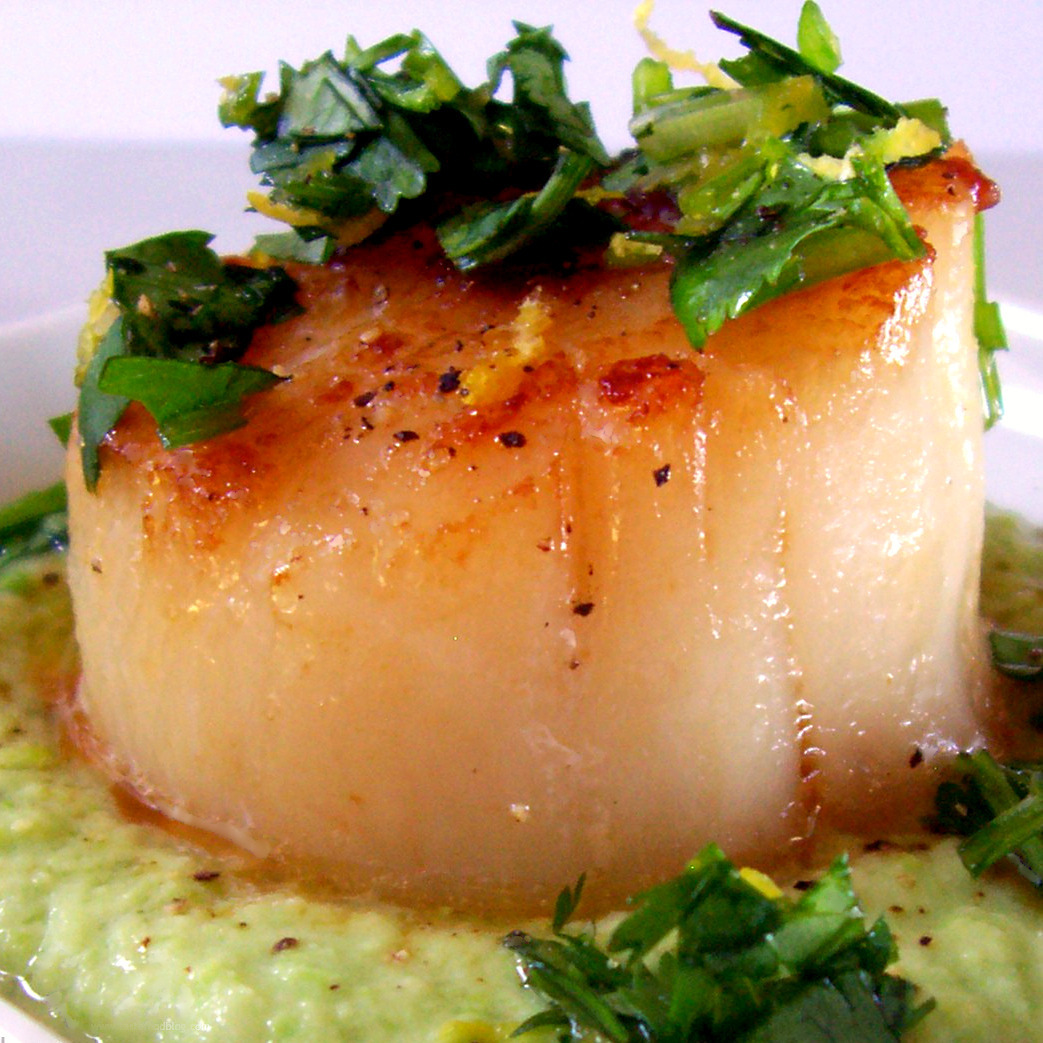 Scallop Cilantro Gremolata – TasteFood